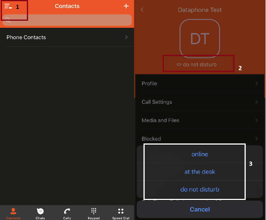 How to Change Do Not Disturb (DND) Status in Dataphone Softphone App ...